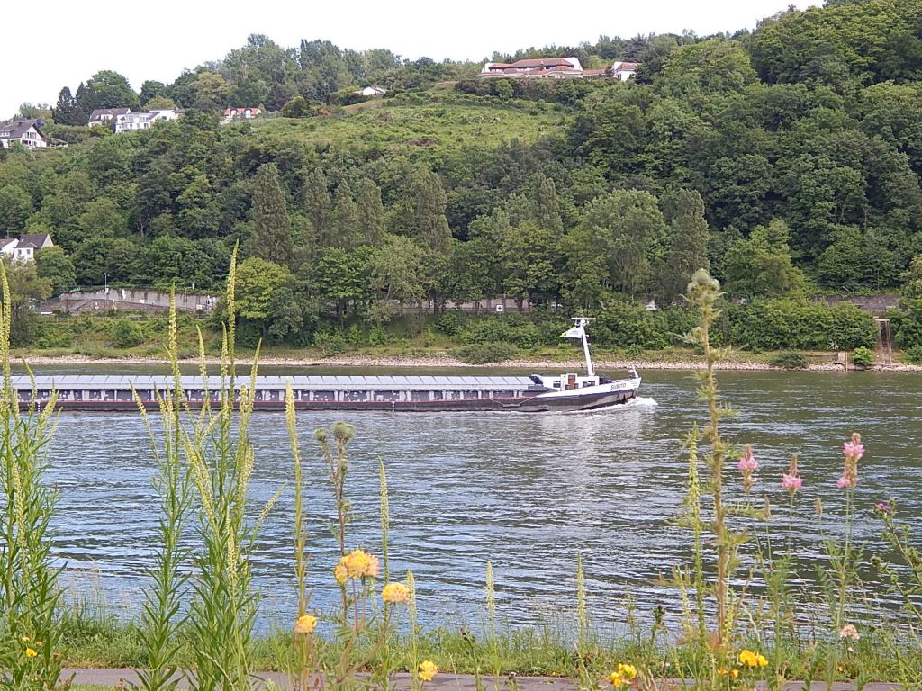 5 super ausgetsattete Ferienwohnungen direkt am Rhein in Koblenz
